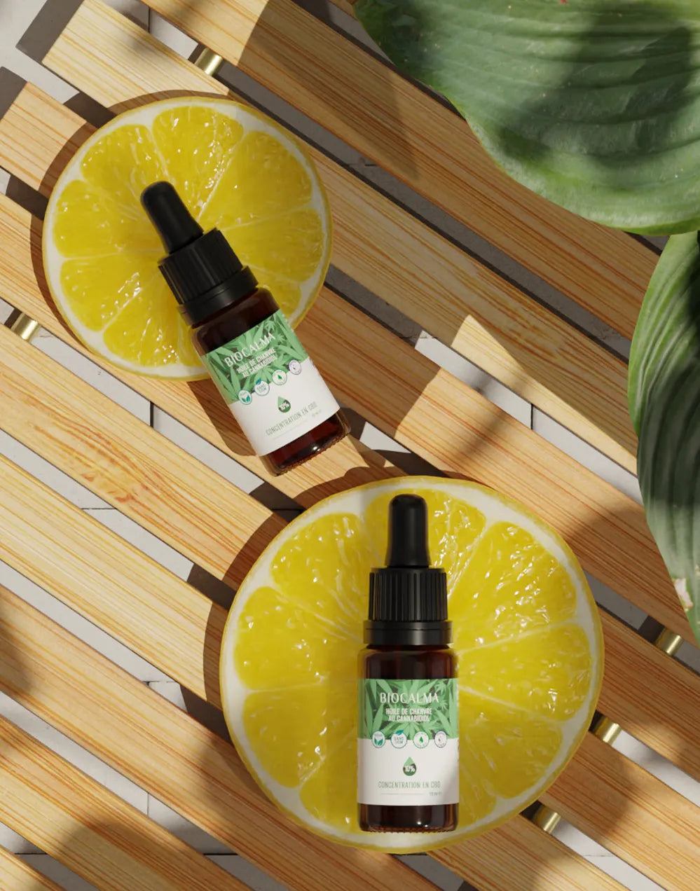 Huile cbd biologique 10% – Biocalma